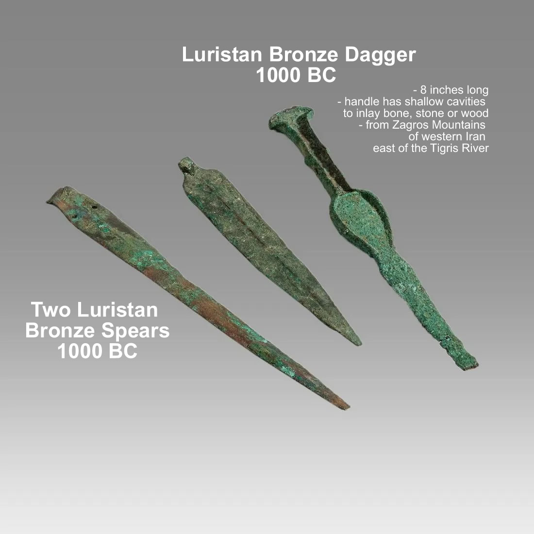 Generation Word - Bible Teaching